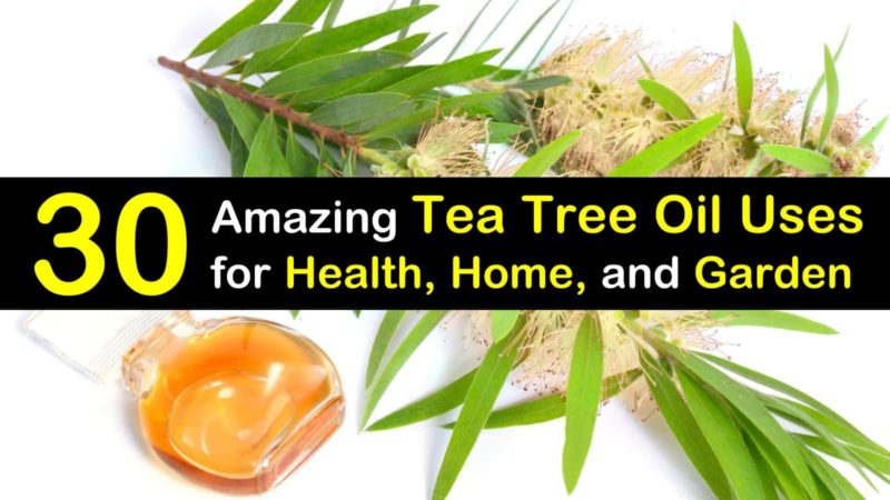 30 Amazing Uses for Tea Tree Oil