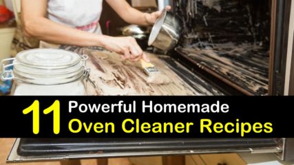 11 Easy Ways to Make Your Own Oven Cleaner