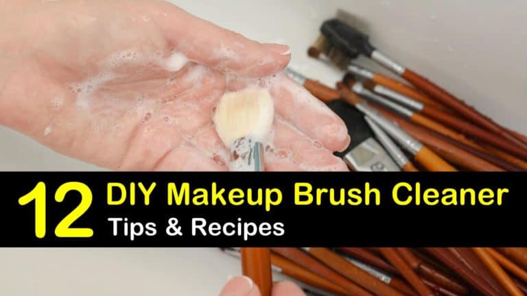 12 Amazingly Easy DIY Makeup Brush Cleaners