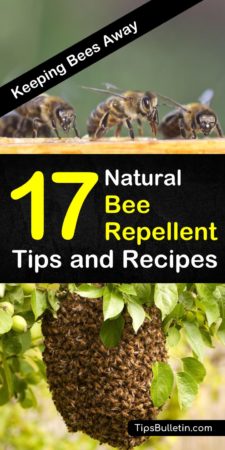 Keeping Bees Away - 17 Natural Bee Repellent Tips and Recipes