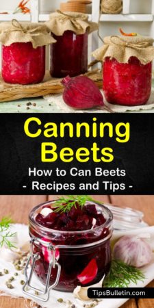 3 Yummy Ways to Can Beets