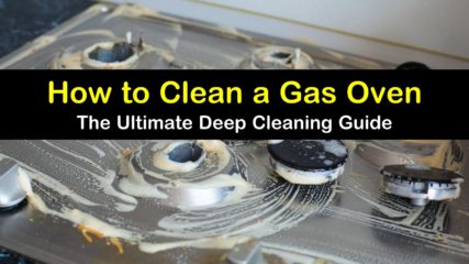 6 Ideal Ways to Clean a Gas Oven