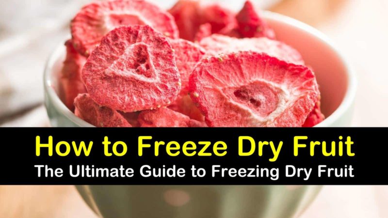 5 Quick Ways to Freeze Dry Fruit