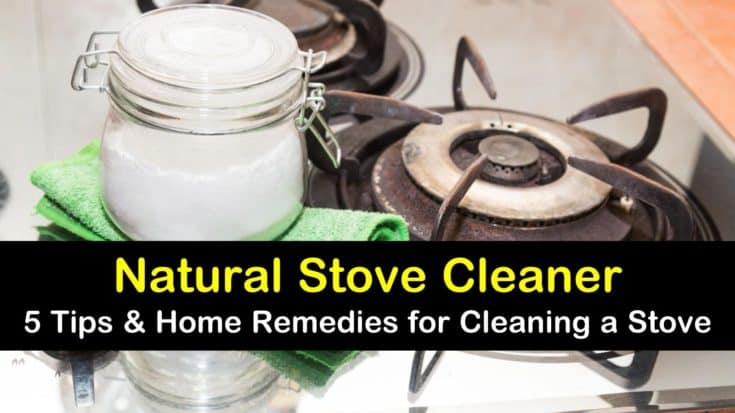 5 Fantastic DIY Stove Cleaner Recipes
