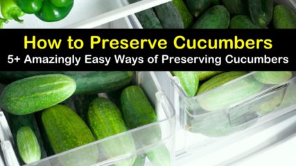 5+ Amazingly Easy Ways to Preserve Cucumbers
