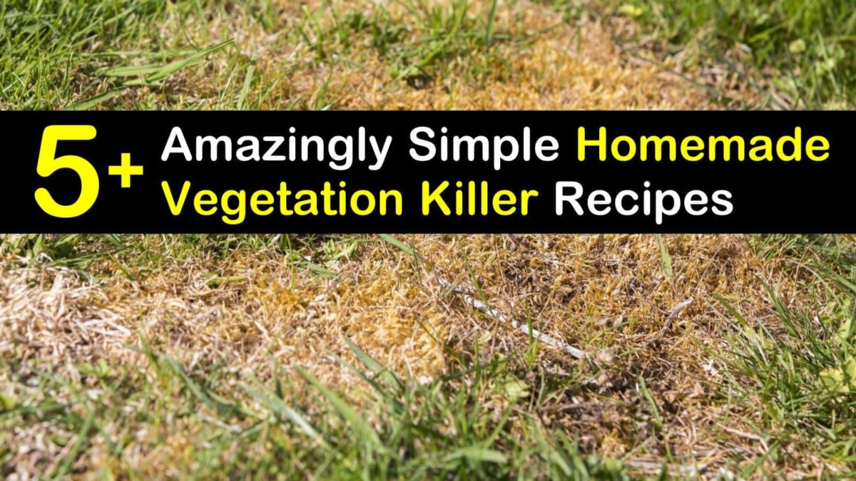 5+ Amazingly Simple Homemade Vegetation Killer Recipes