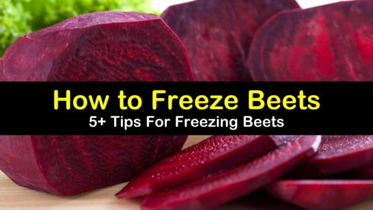 5+ Ways to Freeze Beets