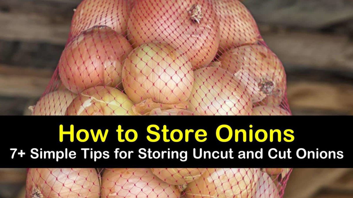 7+ Simple Ways to Store Uncut and Cut Onions