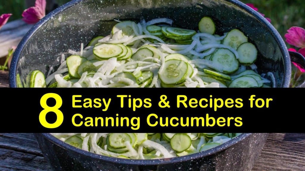 8 Easy Tips & Recipes for Canning Cucumbers