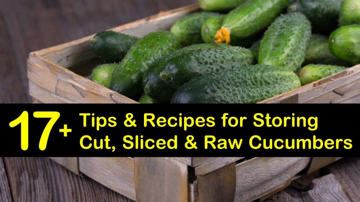 17+ Tips & Recipes for Storing Cut, Sliced and Raw Cucumbers