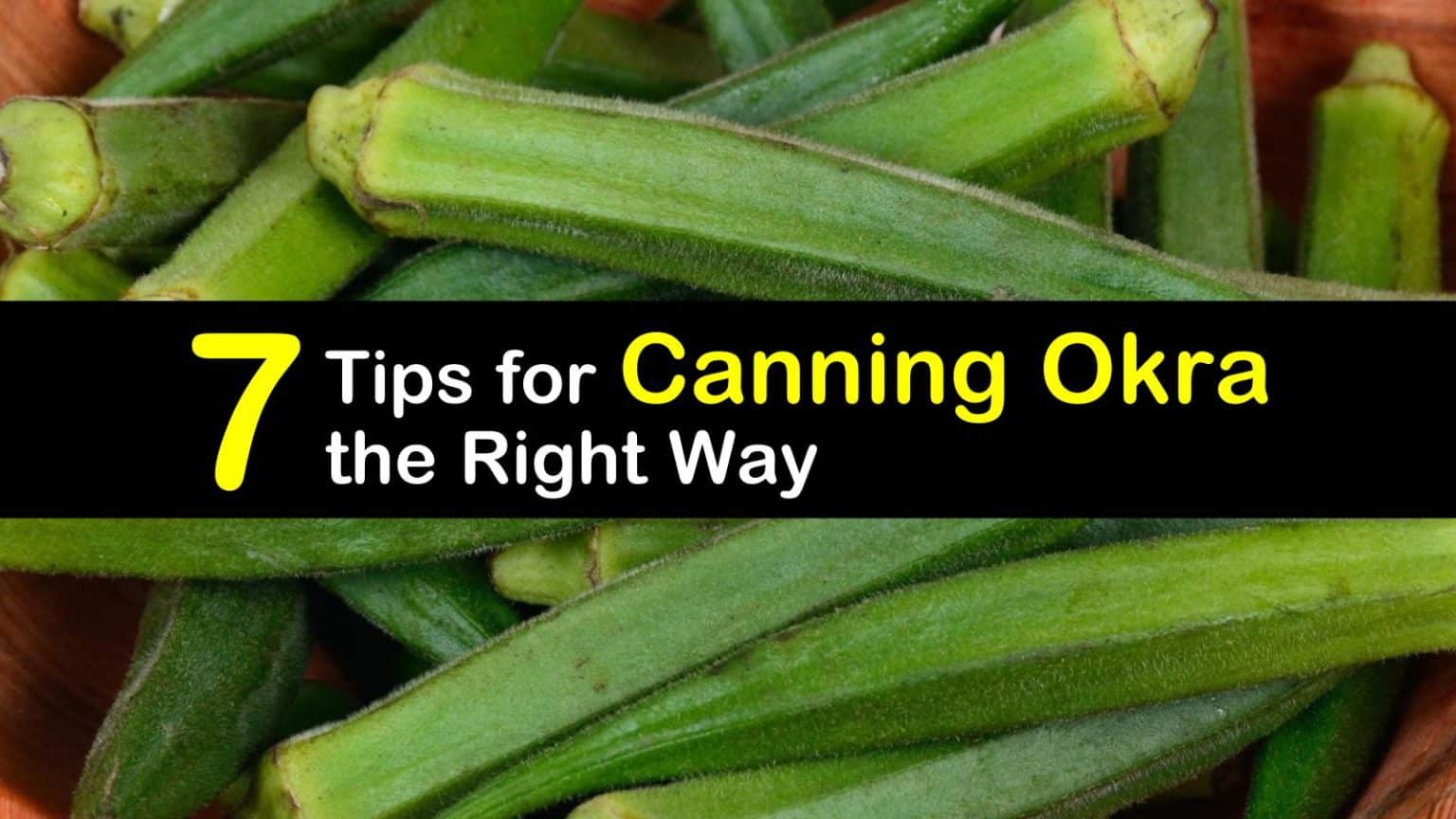 7 Tips for Canning Okra the Right Way