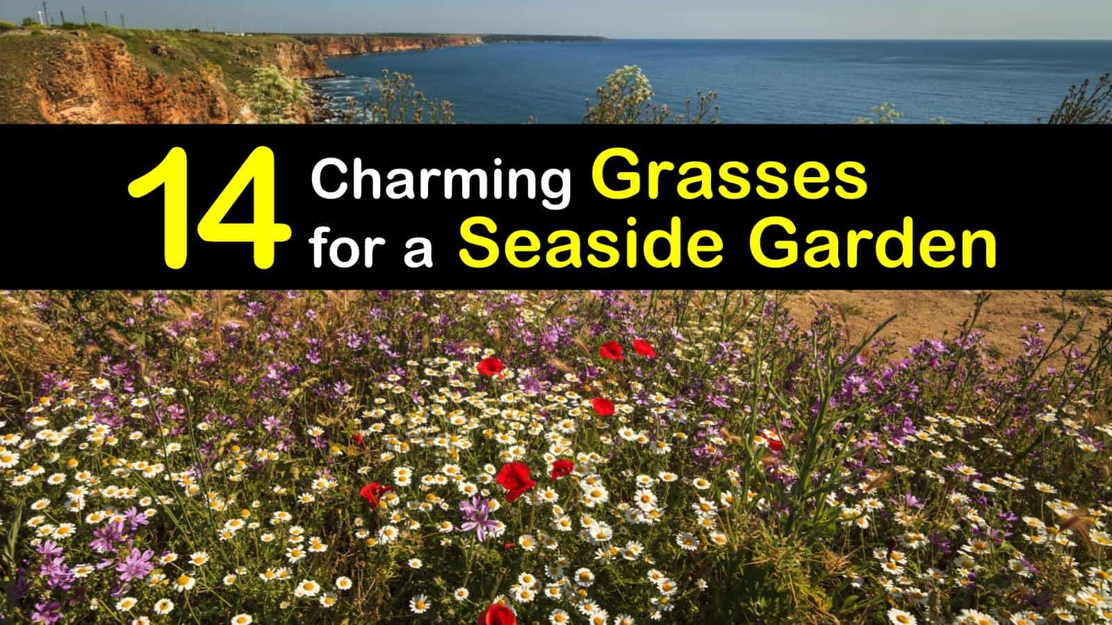 14 Charming Grasses for a Seaside Garden