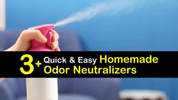 3+ Quick & Easy Homemade Odor Neutralizers