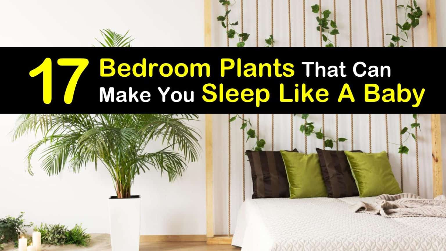 17 Bedroom Plants that Can Make You Sleep Like a Baby