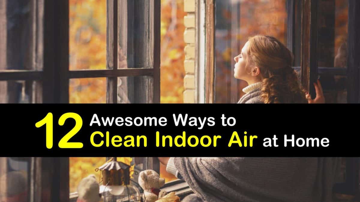12 Awesome Ways to Clean Indoor Air at Home