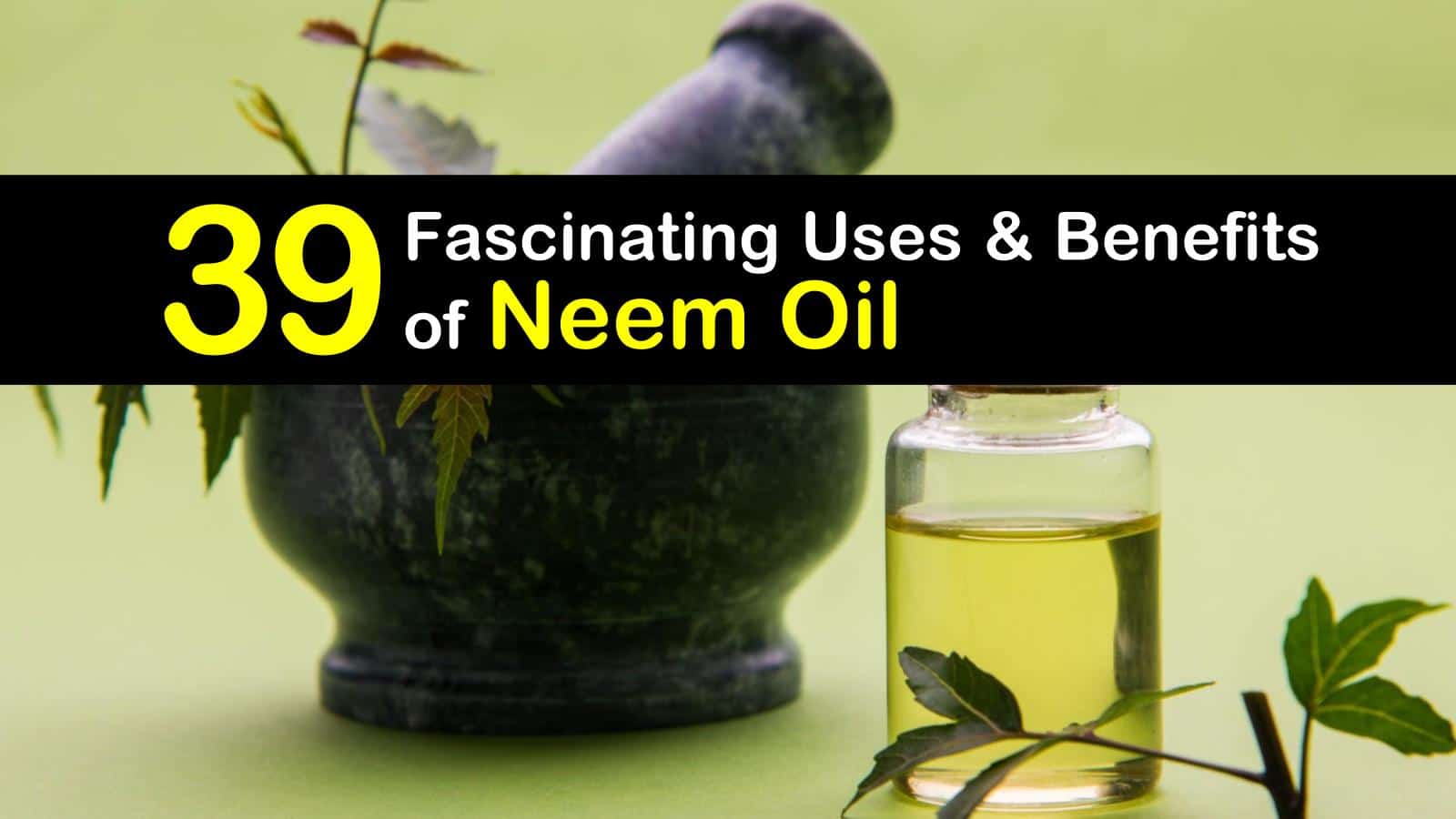 39 Fascinating Uses & Benefits of Neem Oil