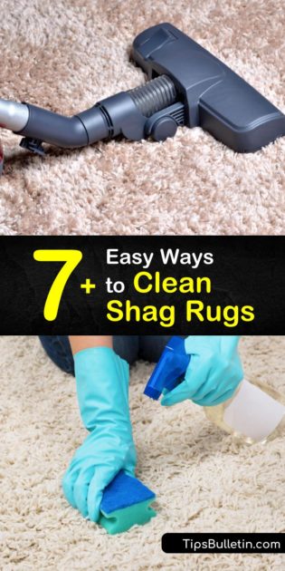 7+ Easy Ways to Clean Shag Rugs