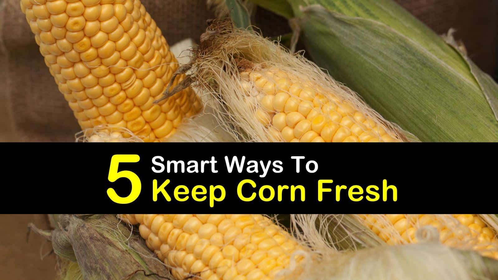 5 Smart Ways to Keep Corn Fresh