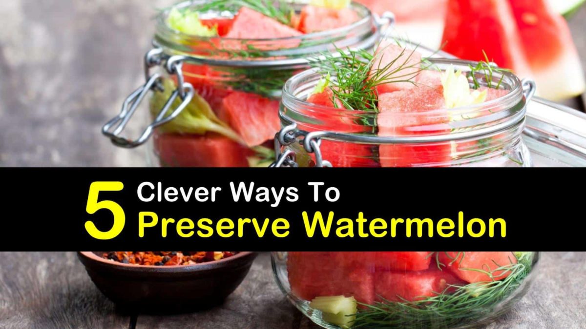 5 Clever Ways to Preserve Watermelon