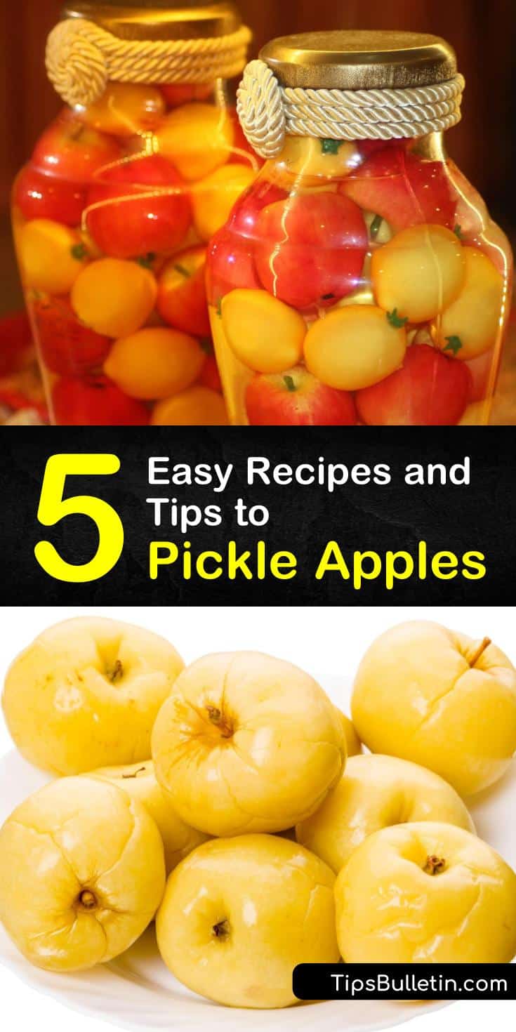 5 Easy Recipes and Tips to Pickle Apples
