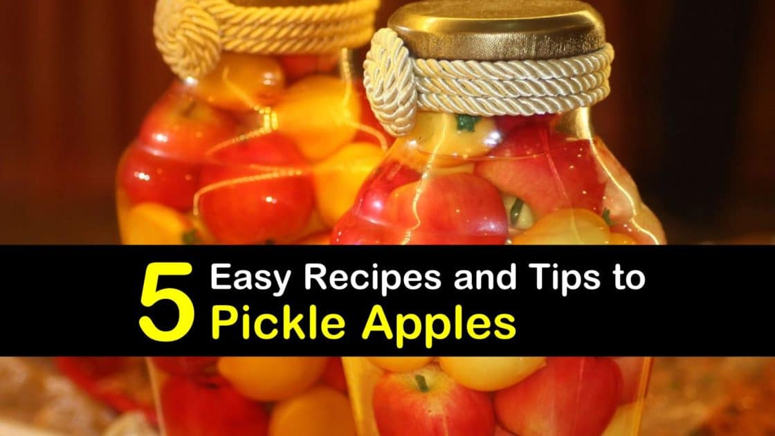 5 Easy Recipes and Tips to Pickle Apples
