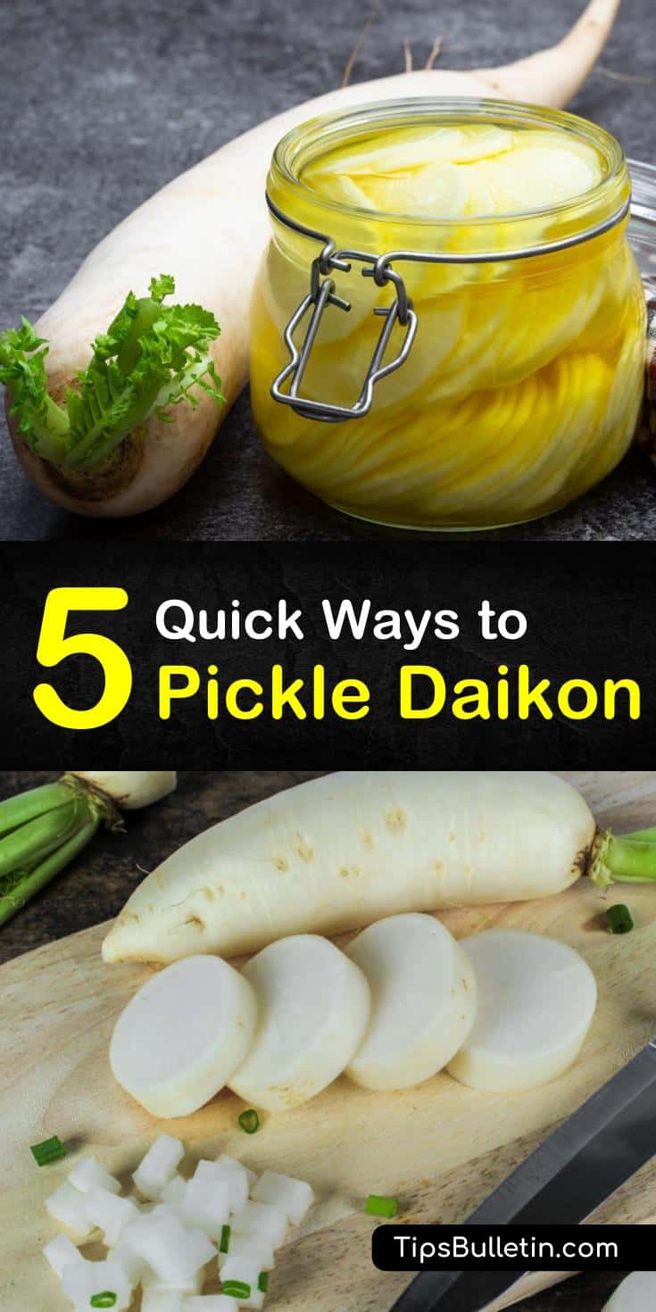 5 Quick Ways to Pickle Daikon