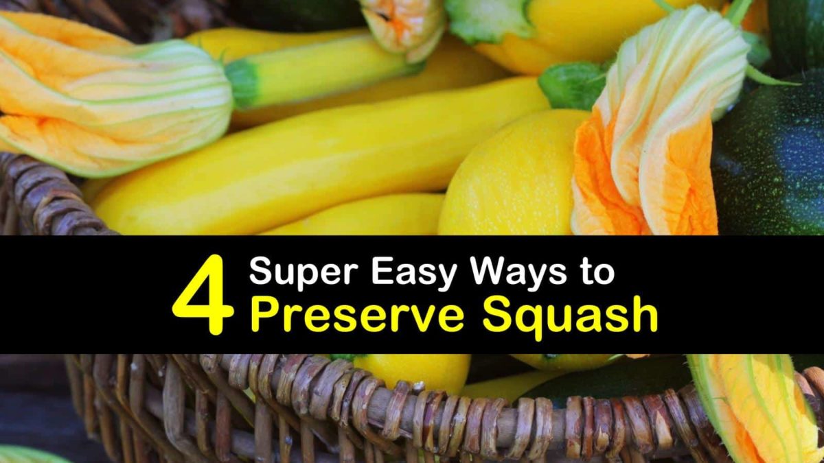 4 Super Easy Ways to Preserve Squash
