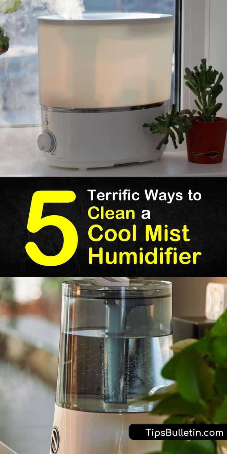 5 Terrific Ways to Clean a Cool Mist Humidifier