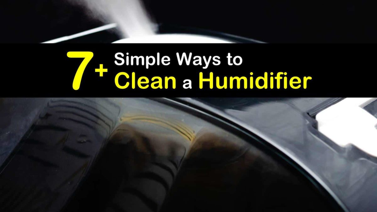 7+ Simple Ways to Clean a Humidifier