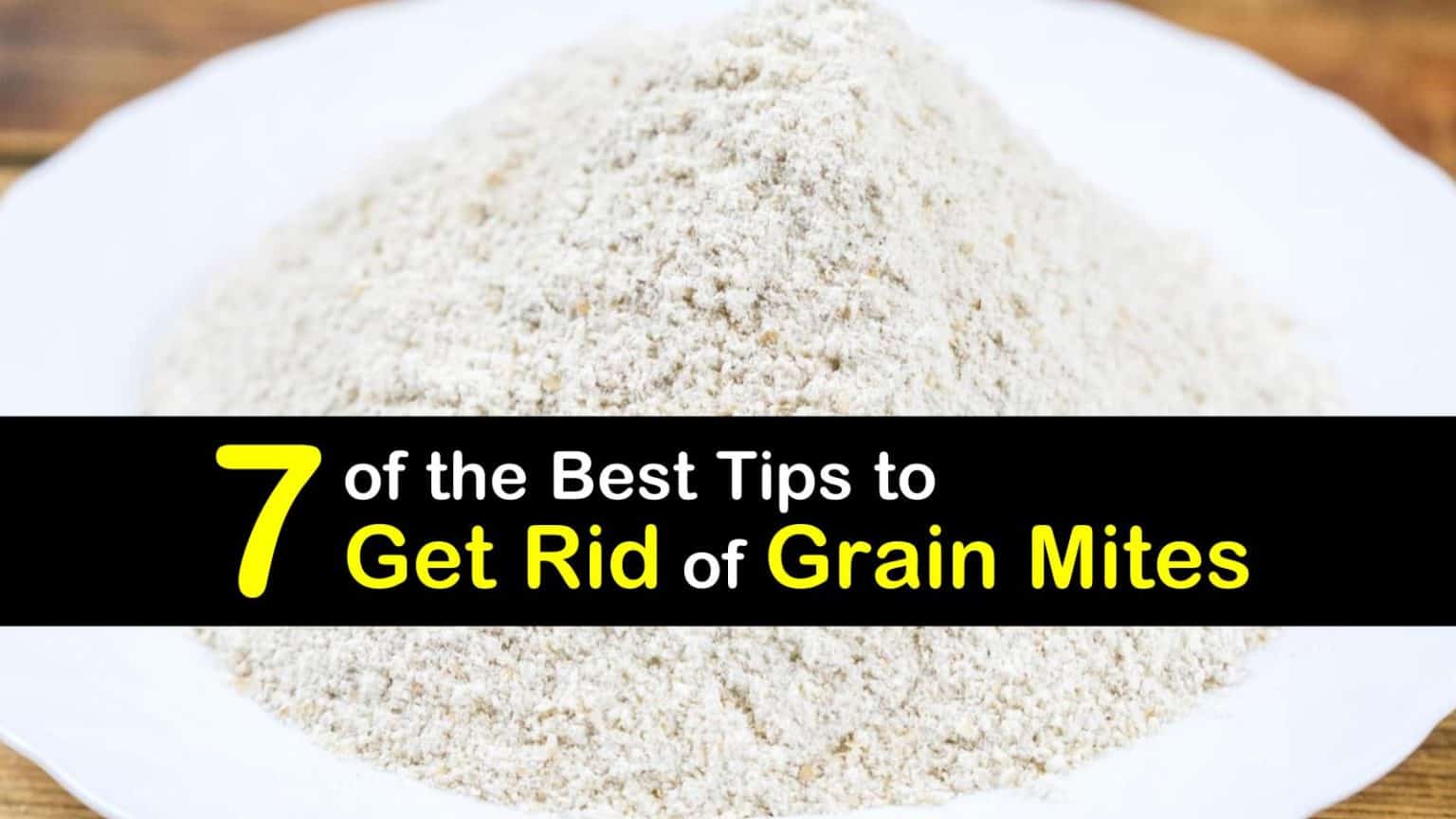 7 of the Best Tips to Get Rid of Grain Mites