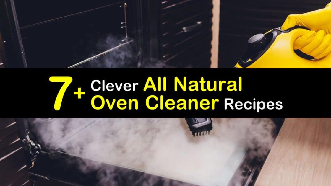7+ Clever All Natural Oven Cleaner Recipes