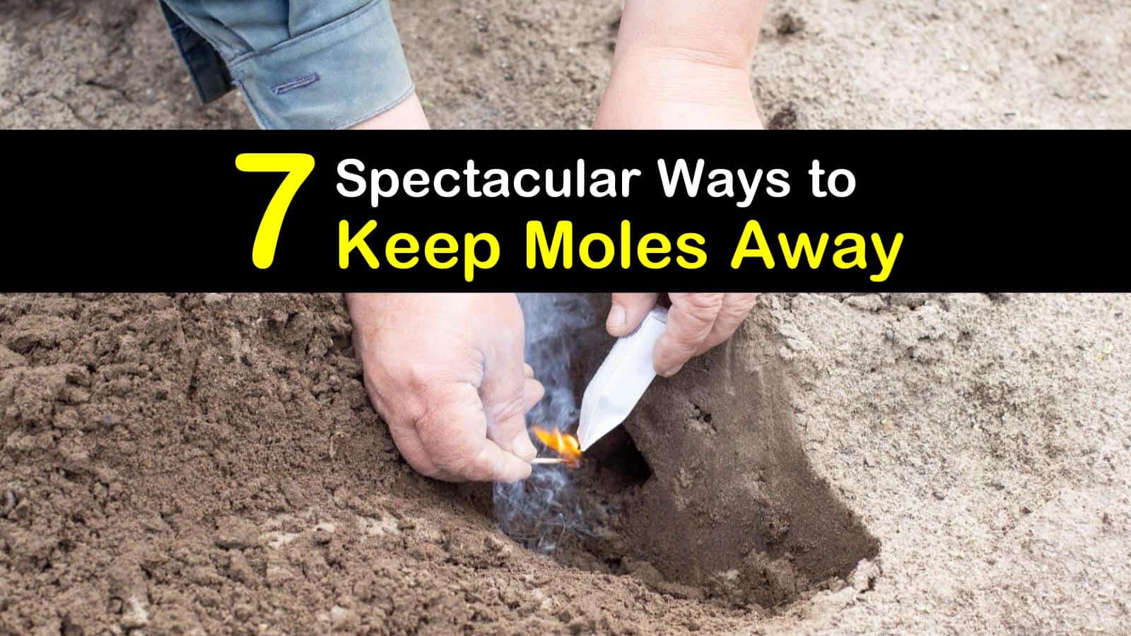 7 Spectacular Ways to Keep Moles Away