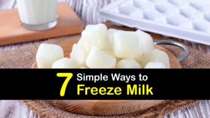 7 Simple Ways to Freeze Milk