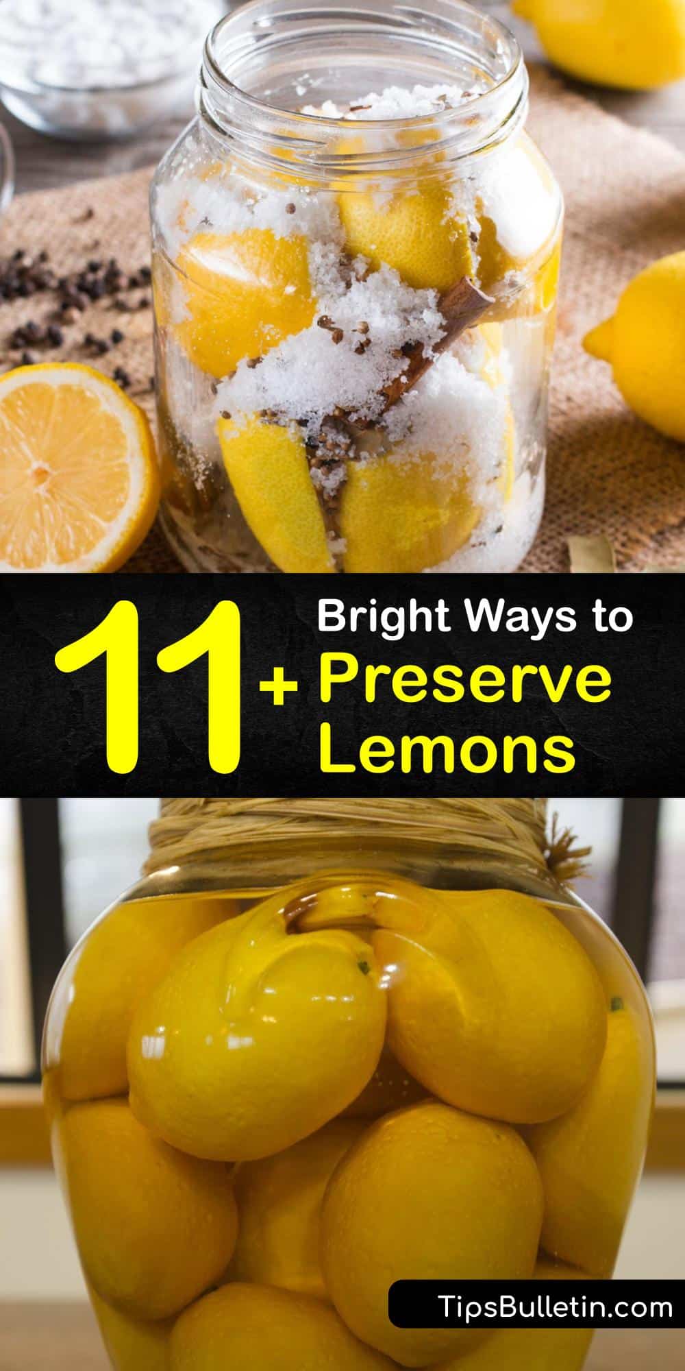 11+ Bright Ways to Preserve Lemons