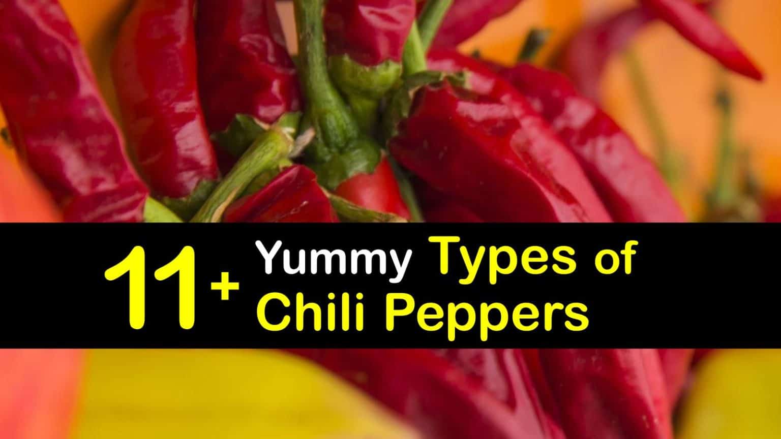 11+ Yummy Types of Chili Peppers