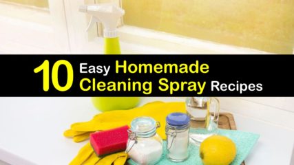 10 Easy Homemade Cleaning Spray Recipes