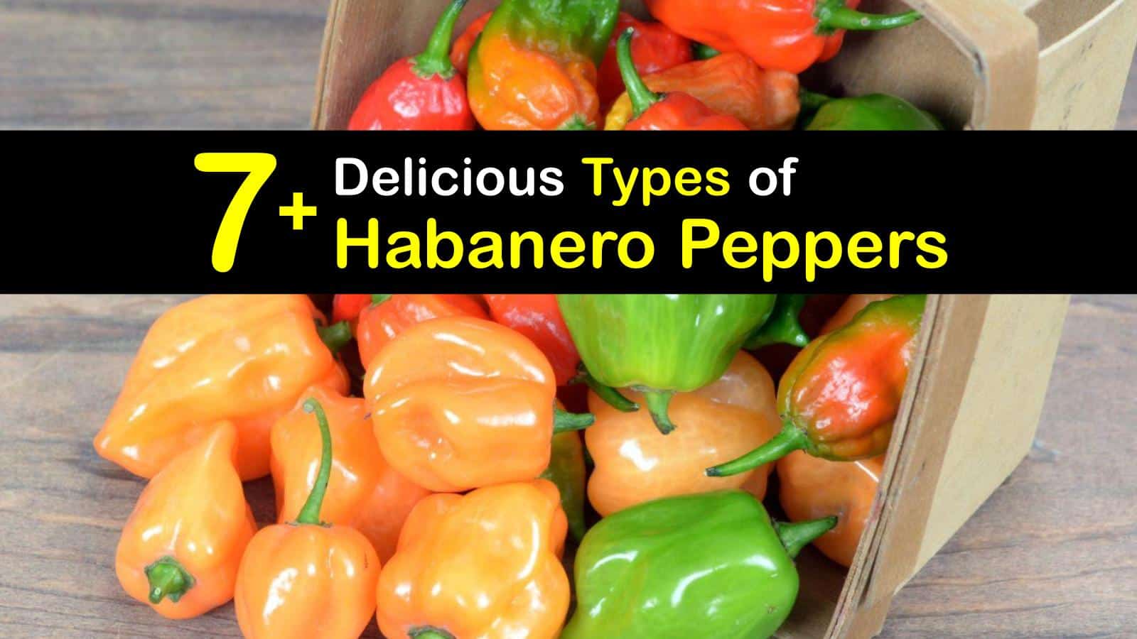 7+ Delicious Types of Habanero Peppers