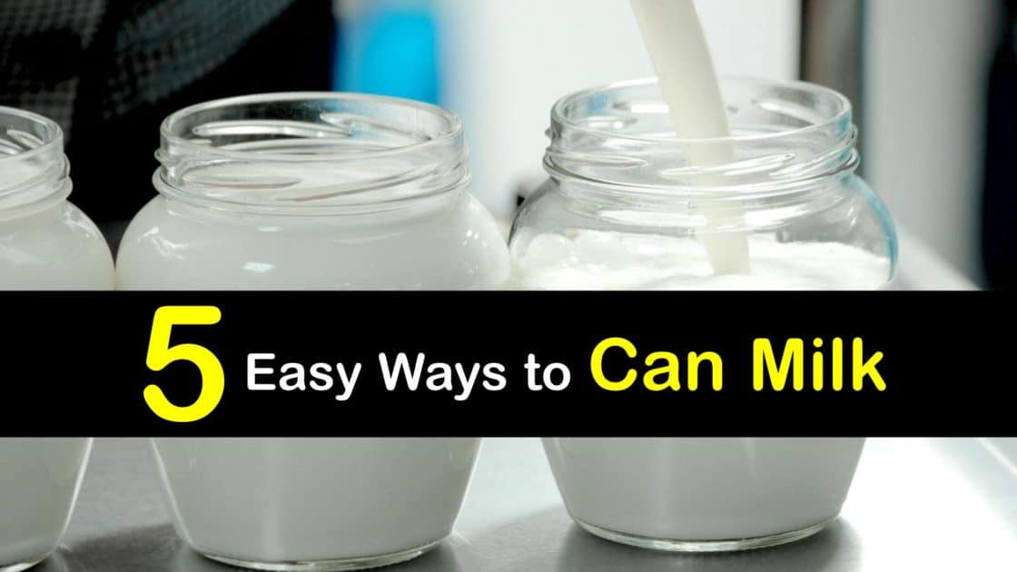 5 Easy Ways to Can Milk