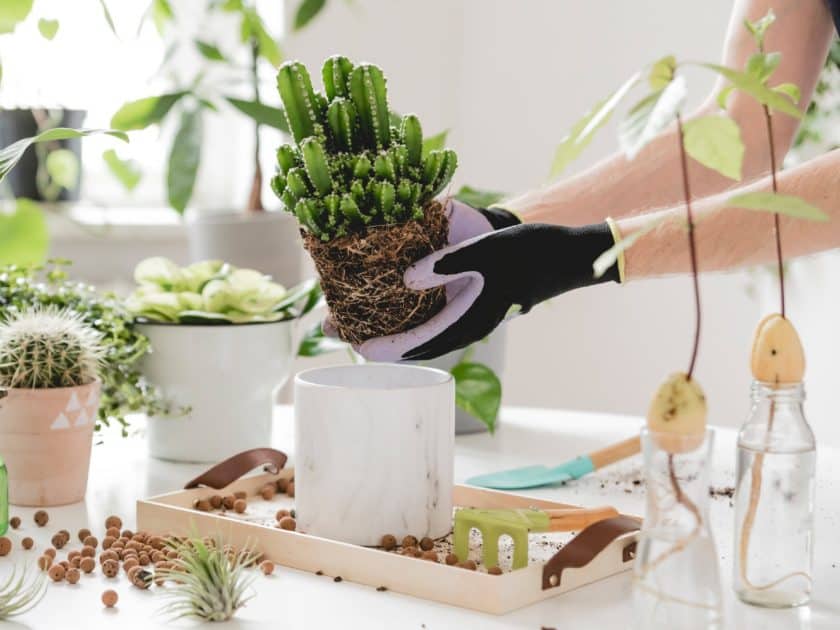 Brilliant Tips for How to do Things Yourself