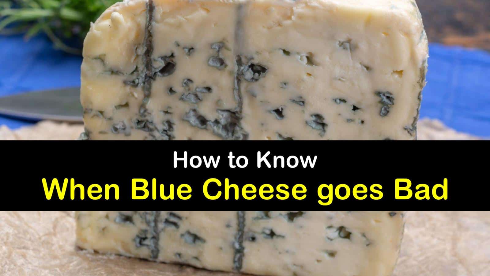 Lifespan of Blue Cheese - How to Keep Blue Cheese Fresh