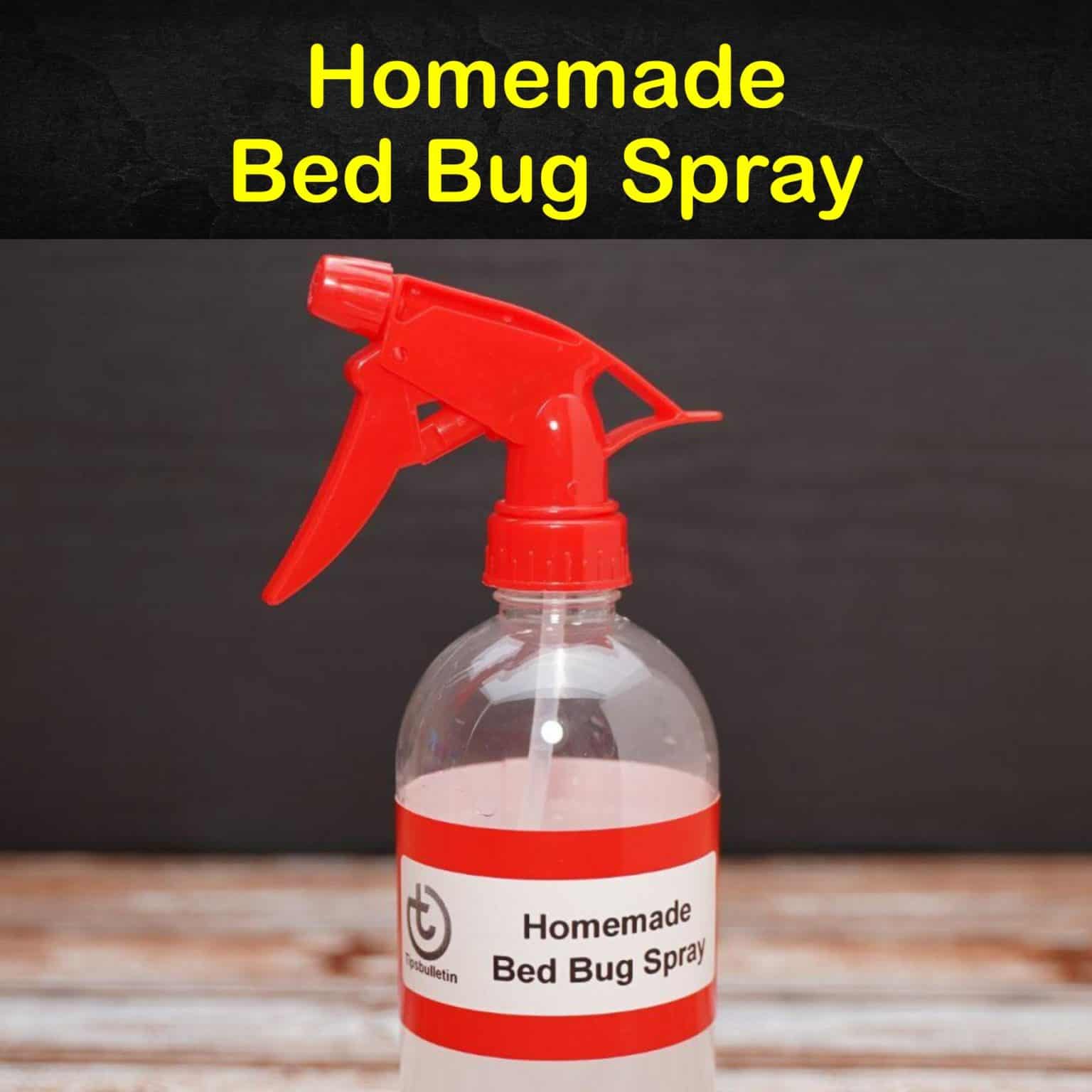 Getting Rid Of Bed Bugs 7 Homemade Bed Bug Spray Tips getting-rid-of-bed-bugs-7-homemade-bed-bug-spray-tips