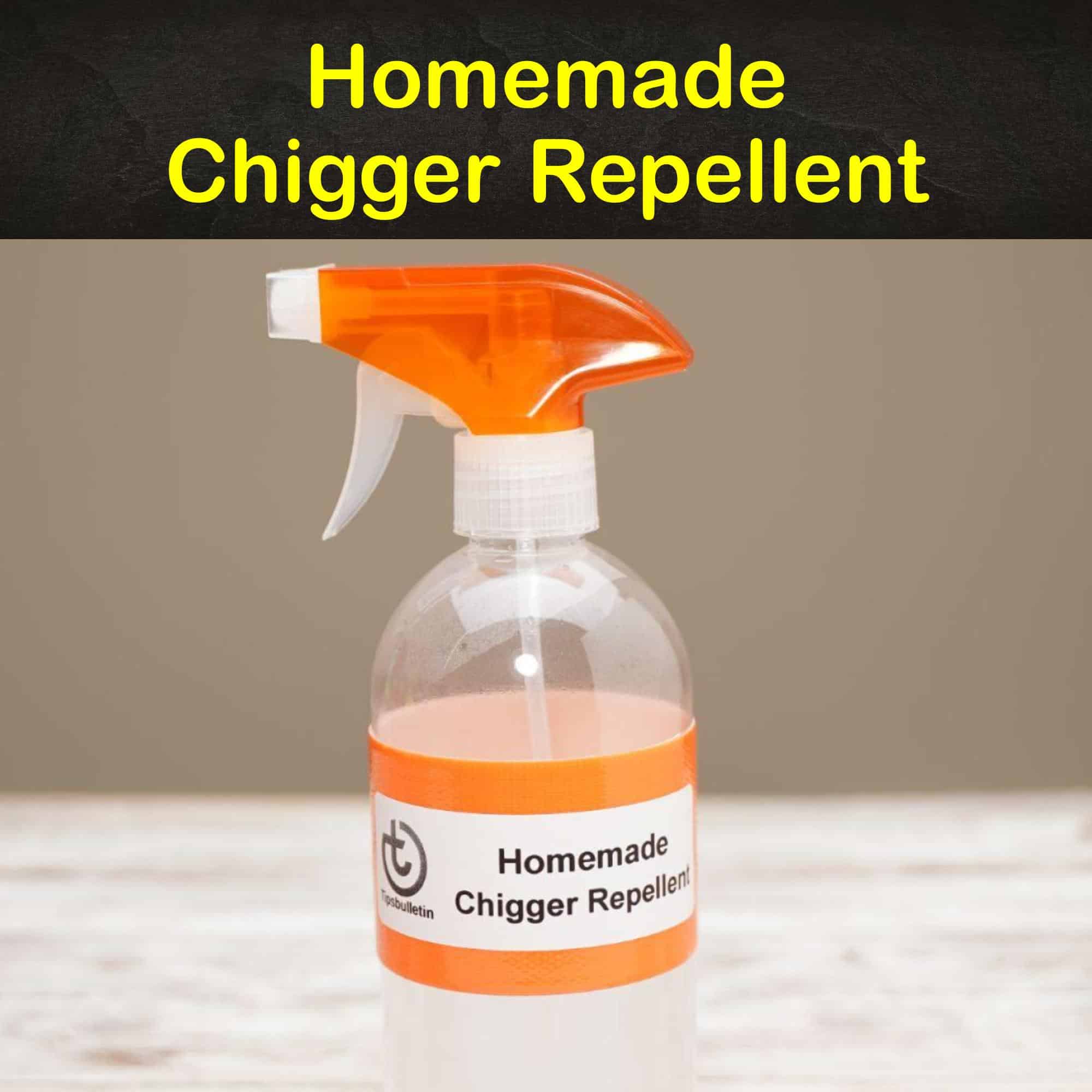 7+ Do-It-Yourself Chigger Repellent Recipes