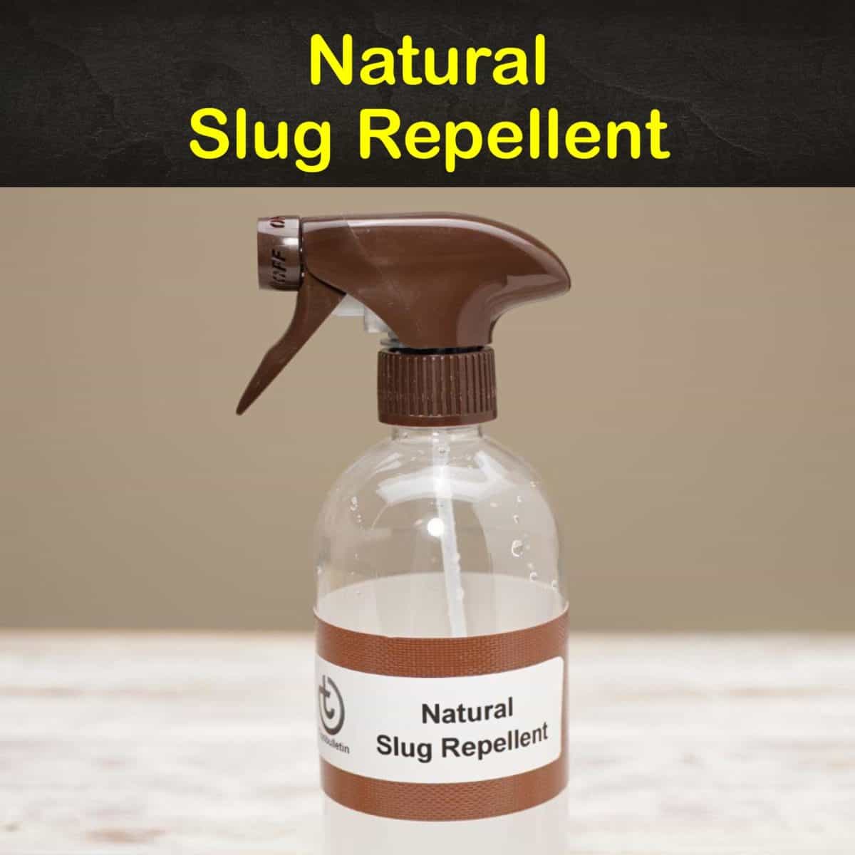 27 Simple DIY Slug Repellent Solutions