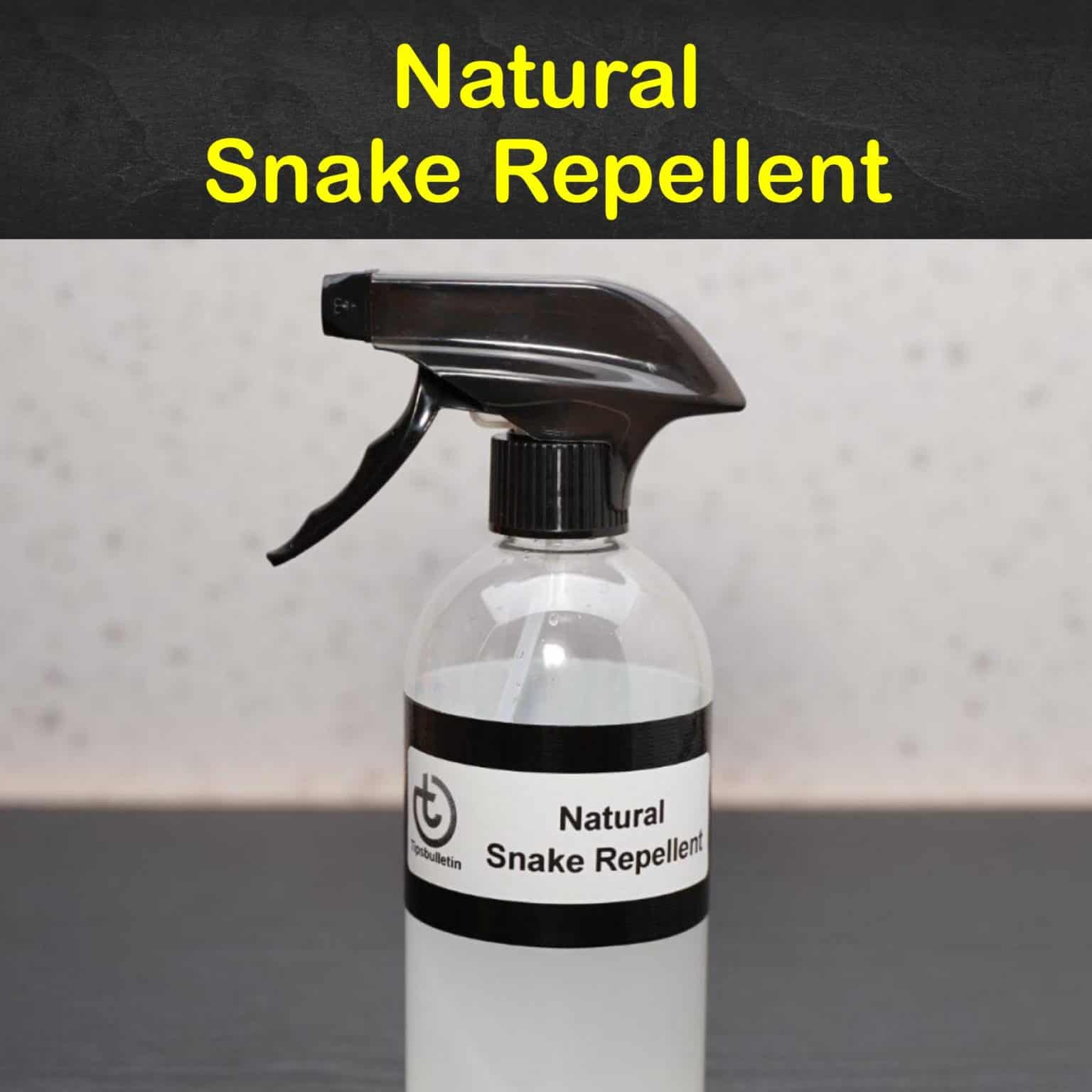 9 Fast & Easy Homemade Snake Repellent Recipes