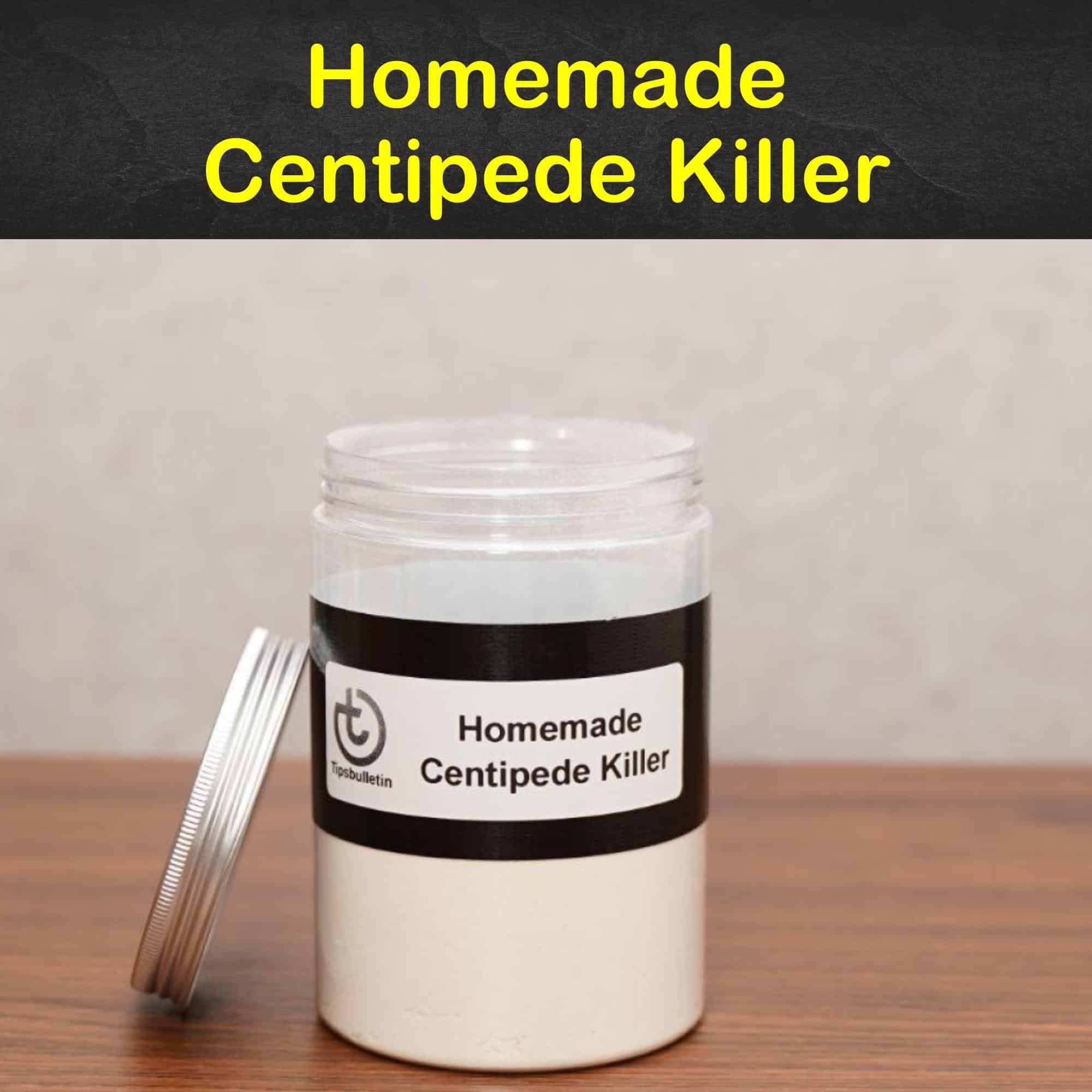 7 Homemade Centipede Killer Tips & Recipes