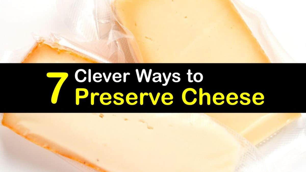 Cheese Preservation - Fast Tricks for Preserving Cheese