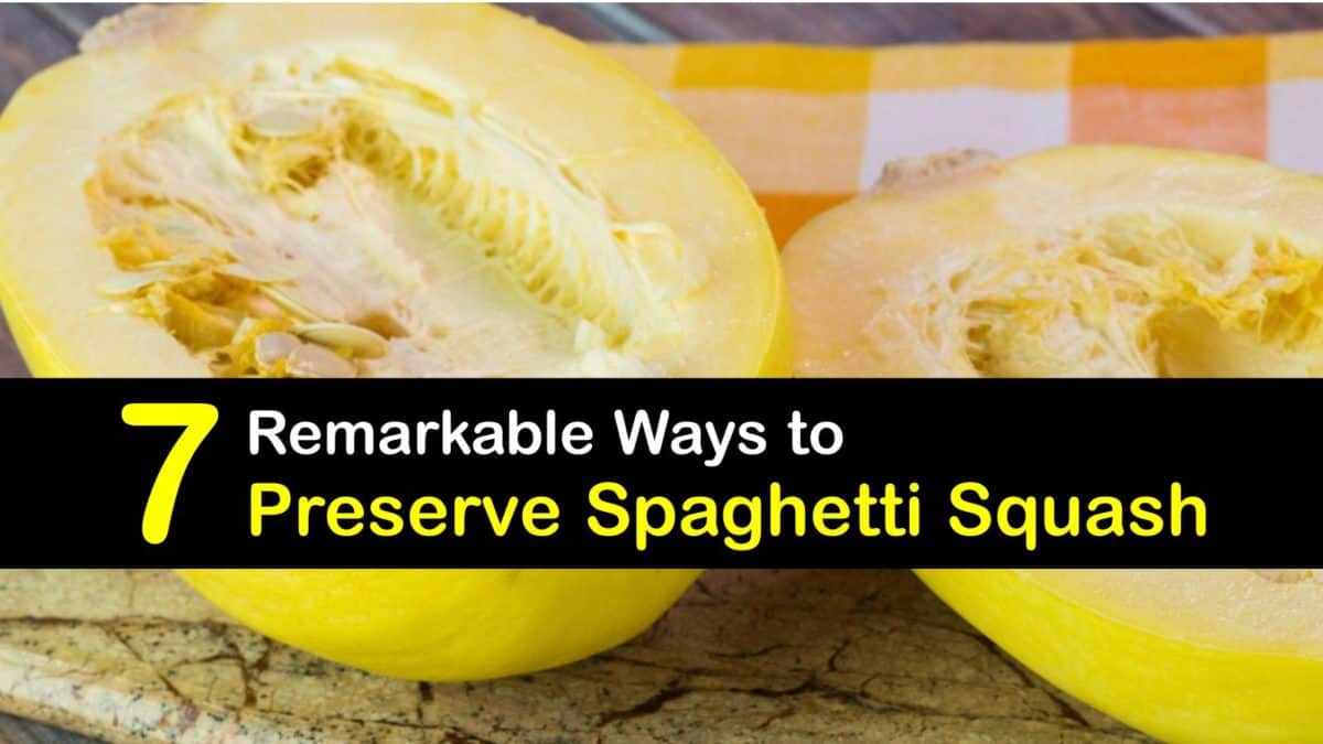 Spaghetti Squash Storage - Spaghetti Squash Preservation Guide