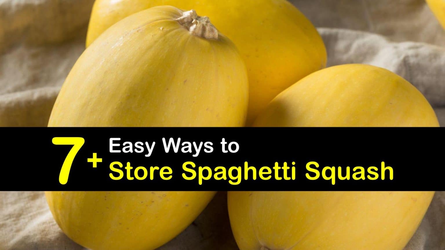 Spaghetti Squash Preservation - Easy Tricks for Storing Spaghetti Squash