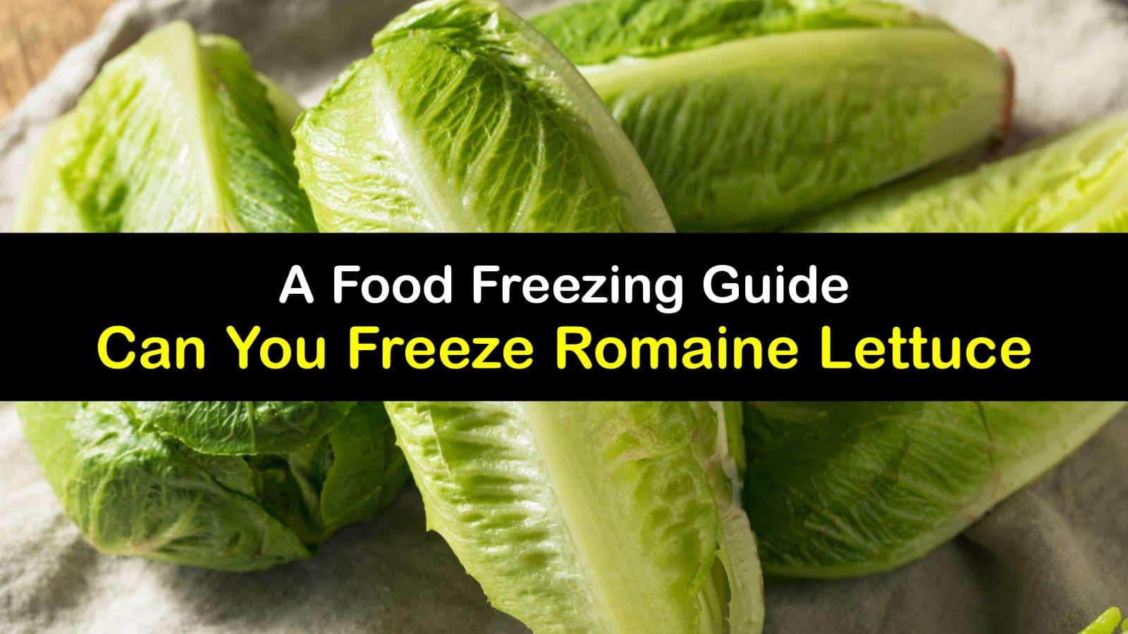 Freezing Romaine Lettuce - Storing Romaine in the Freezer