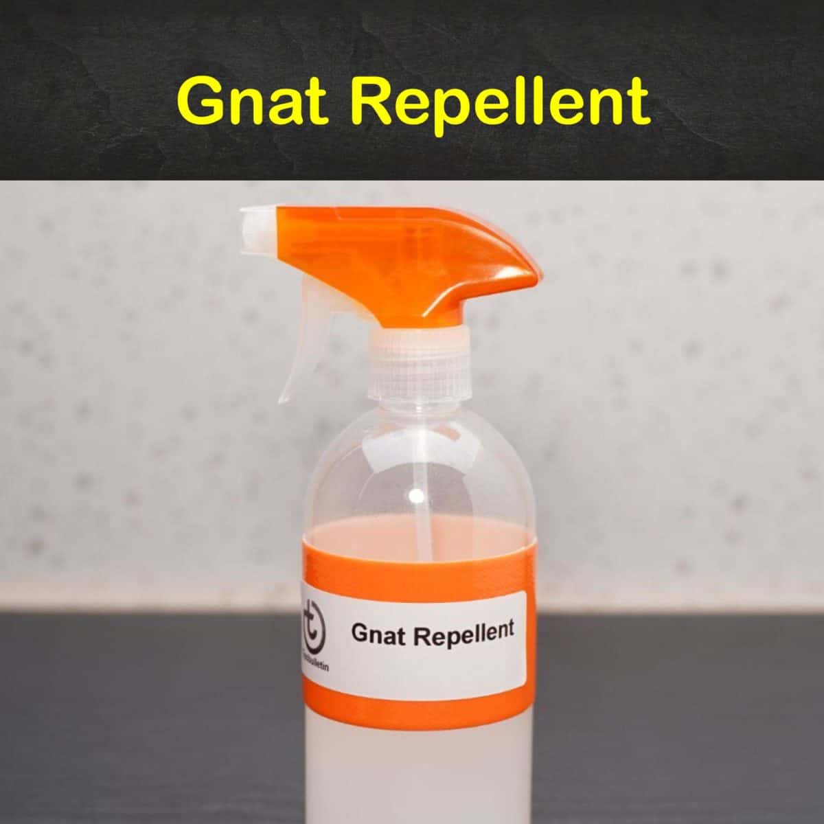 15 Simple Gnat Repellents that Really Work